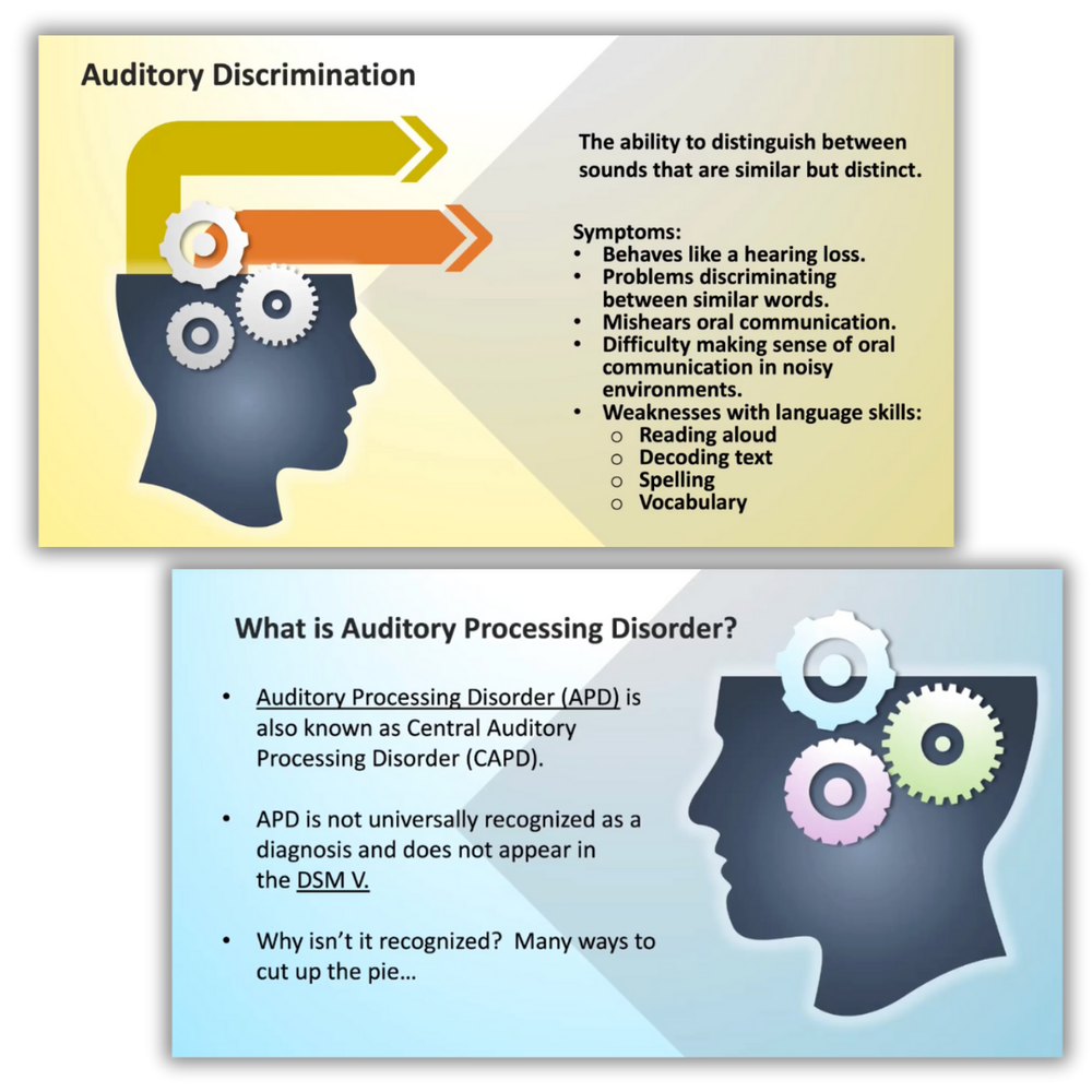 Auditory Processing | Exploring the Many Types | Workshop
