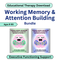 Working Memory Bundle | Beginner & Intermediate Skill Builders